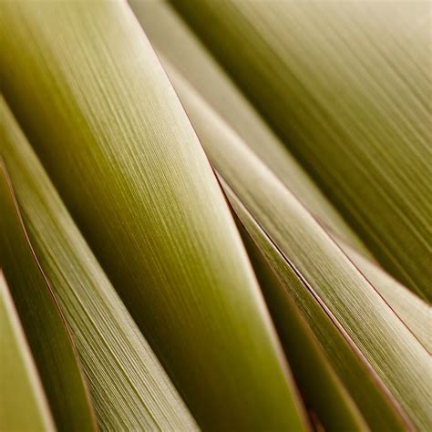 Ko Au Te Kete Youtube