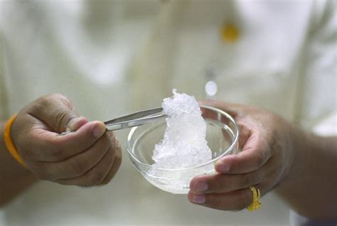 Biological Science Rejects The Sex Binary Sapiens