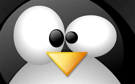 Linux命令提示符怎么打开? 知乎 Linux命令提示符怎么打开? 知乎