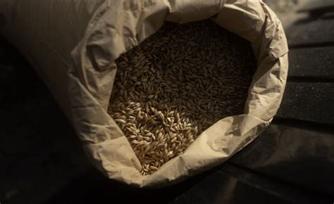 Kpi Tree Definition Examples And Steps To Build Effective Performance