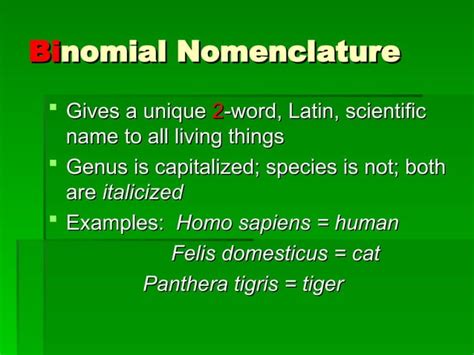 Classification Taxonomy Powerpoint Presentation Ppt