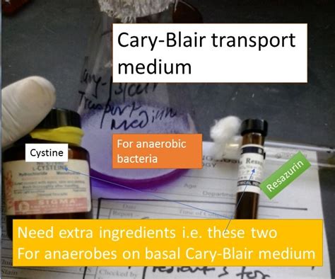 Stool Sample Transport Media At Hugo Fitzhardinge Blog