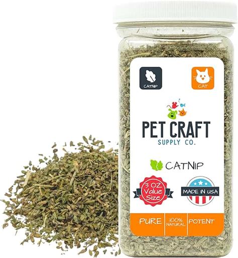 Catnip