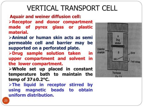 Diffusion Ppt Ak PPTX Chemistry Science