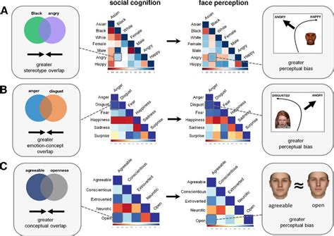 Social Conceptual Structure Shapes Face Perception Download Scientific Diagram