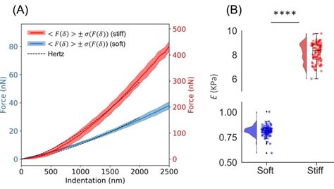 Experimental And Data Analysis Workflow For Soft Matter Nanoindentation Text Page