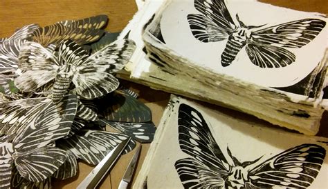 Moth Migration Important Update Hilary Lorenz