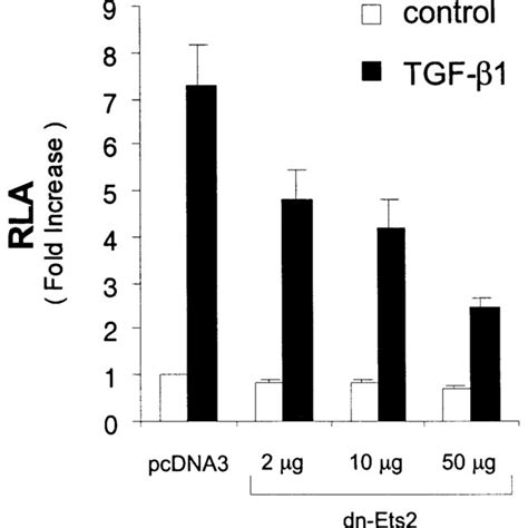 Transient Transfection Assays Demonstrate Importance Of An Download