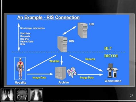 Dicom Structure Basics Pptx Dicom Structure Basics Pptx