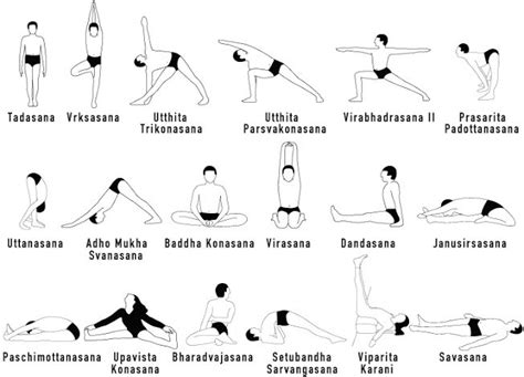 How Many Kinds Of Yoga Are There All Types Explained