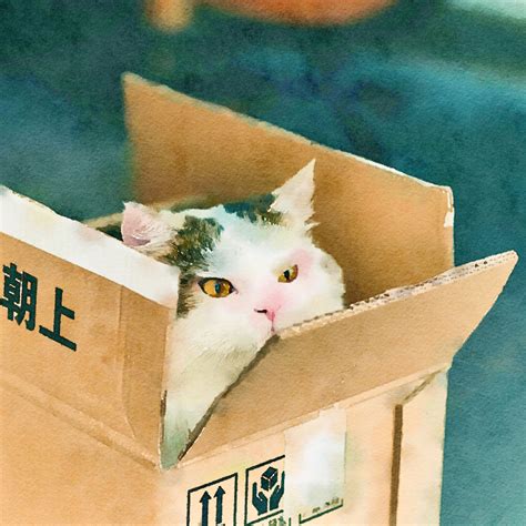 Installing Packages With NPM