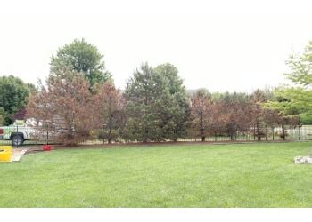 Best Tree Services In Topeka KS Expert Recommendations