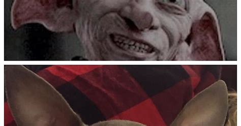 Dobby Ears Album On Imgur