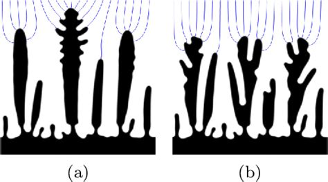 Figure 1 From Quantitative Phase Field Modeling Of Dendritic Electrodeposition Semantic Scholar