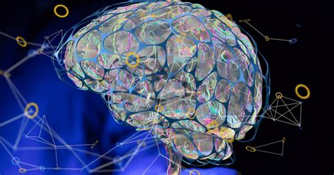 New Insights On Vitamin K2s Cognitive Support Role