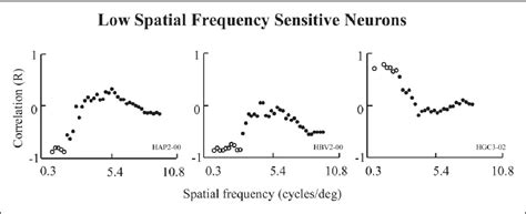 figure 3 from spatial frequency components of images modulate neuronal
