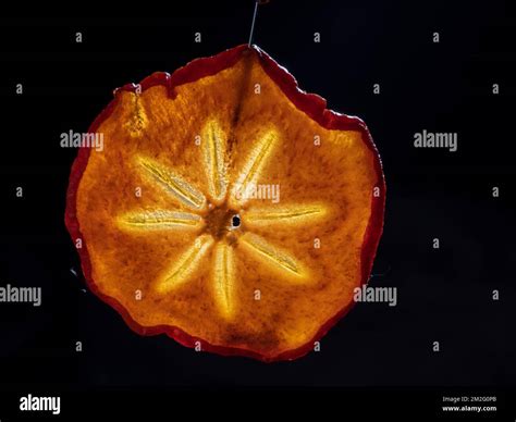 A Thin Slice Of Fruit Or Vegetable Photographed Against Backlight In A