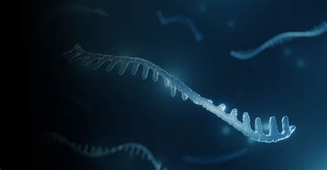 Rnaseq Or Transcriptomic Profiling — Admera Health