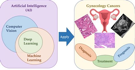 Machine Learning For The Classification Of Ovarian Cancer Gynecologic Cancer Initiative
