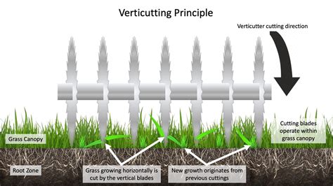 Verticutter Cassette For Ferrex Gls36k Aldi Scarifier Moto Tek