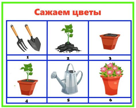 Уход за растениями картинки для детей