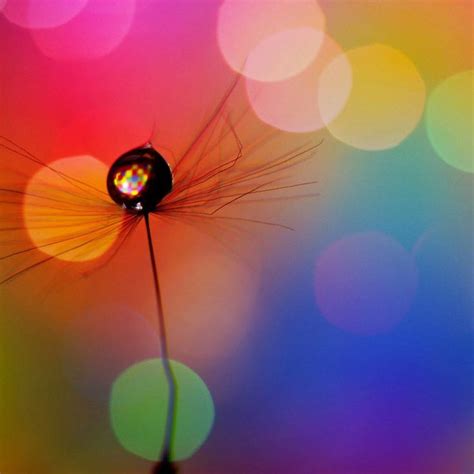 Super Cute Wallpaper Beautiful Wallpapers Beauty Wallpaper Flower