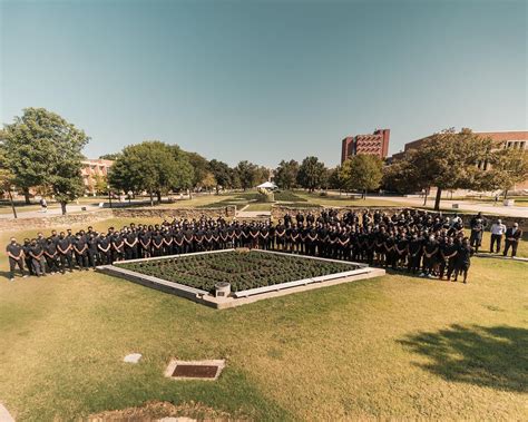 Dane Saltarelli Dane Saltarelli • Instagram Photos And Videos