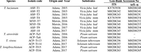 Accession Number Of Trichoderma Spp Isolated From Different Substrates