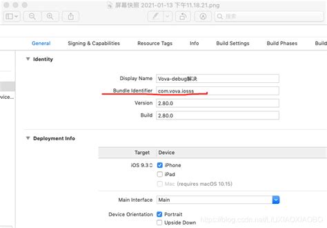 ios 工程配置bundle identifier csdn博客