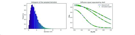 Gamma Distributed Radii And Corresponding Intra Axonal Diffusion
