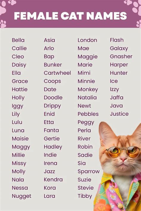 Feminine Names For Cats