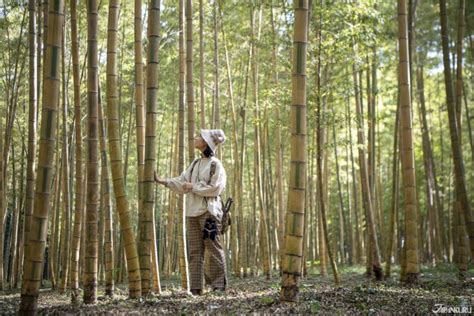 도치기 여행 도쿄에서 당일치기로 다녀오기 좋은 우쓰노미야