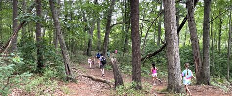 Camp Wells West Suburban Ymca