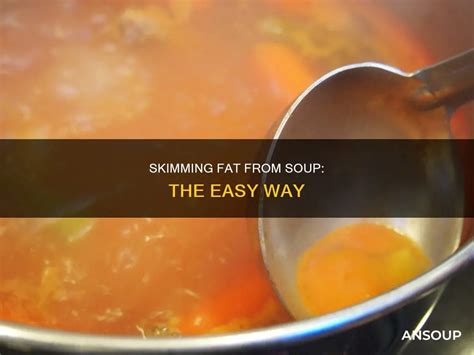 Skimming Fat From Soup The Easy Way Ansoup