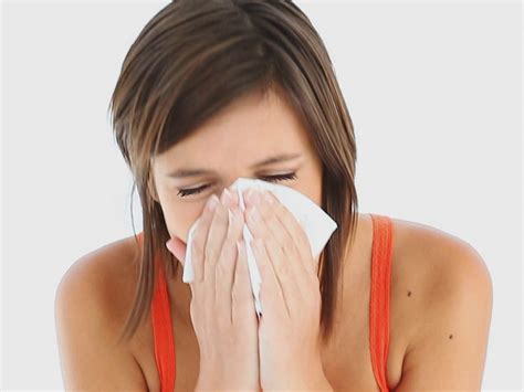 How To Tell The Difference Between A Cold And Allergies General Health Magazine
