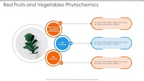 red fruits and vegetables phytochemics ppt example cpp ppt slide