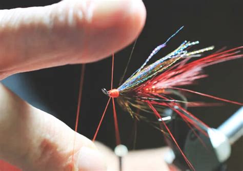 Winter Fly Tying The Marthas Vineyard Times