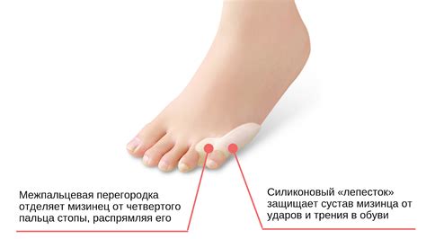 Фото Мизинец Ноги — Картинки