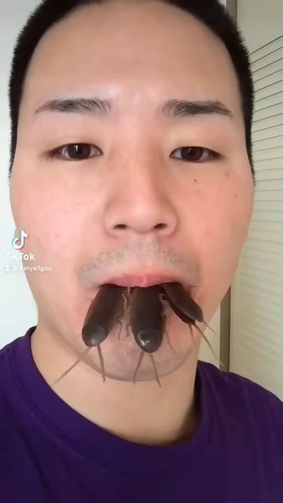 Jouny Funny Man P1890 15334 Jounyfunnyman 🪲🪳 Youtube