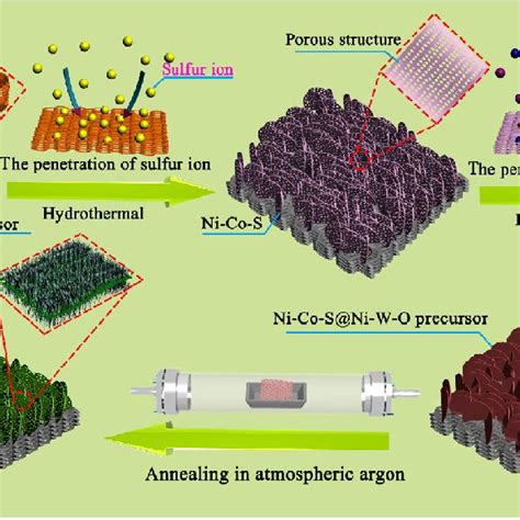 Pdf Hierarchical Ni Co S Ni W O Core Shell Nanosheet Arrays On Nickel