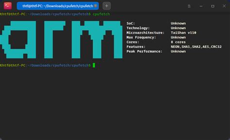 CPU 信息查看工具cpufetch 玩客