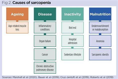 Sarcopenia Types Causes Diagnosis And Impact Nursing Times