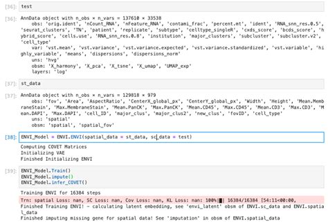 Error When Applying Cosmx Data Using Squidpy Library As Input · Issue