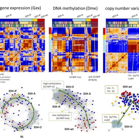 similarity analysis of lgg using gex dme and cnv data using pairwise