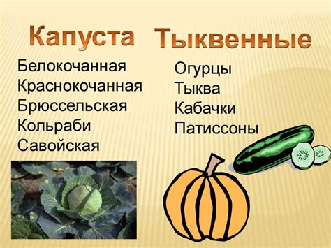 Приготовление и оформление блюд из варёных овощей презентация онлайн