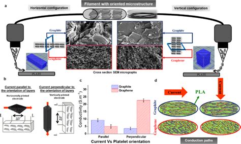 Scheme Of The Microstructure Of The 3d Printed Electrodes During The