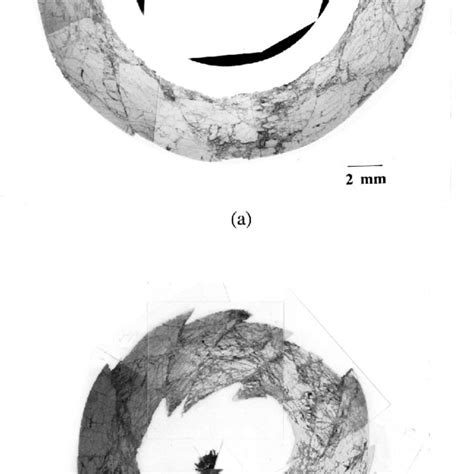 Pdf High Strain Rate Deformation And Comminution Of Silicon Carbide