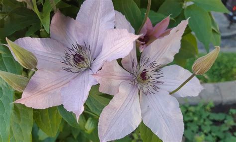 Api Gateway Talks To Dynamodb — Using Api And Rest Api By Feng Li Medium