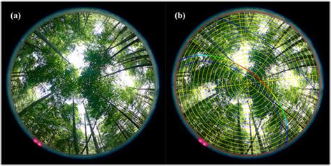 Remote Sensing Special Issue Leaf Area Index Lai Retrieval Using