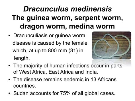 Tissue Nematodes 8 1pptx